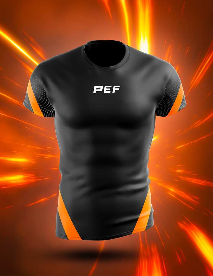 PEF MMA – PEF : Pro Evolution Fighting